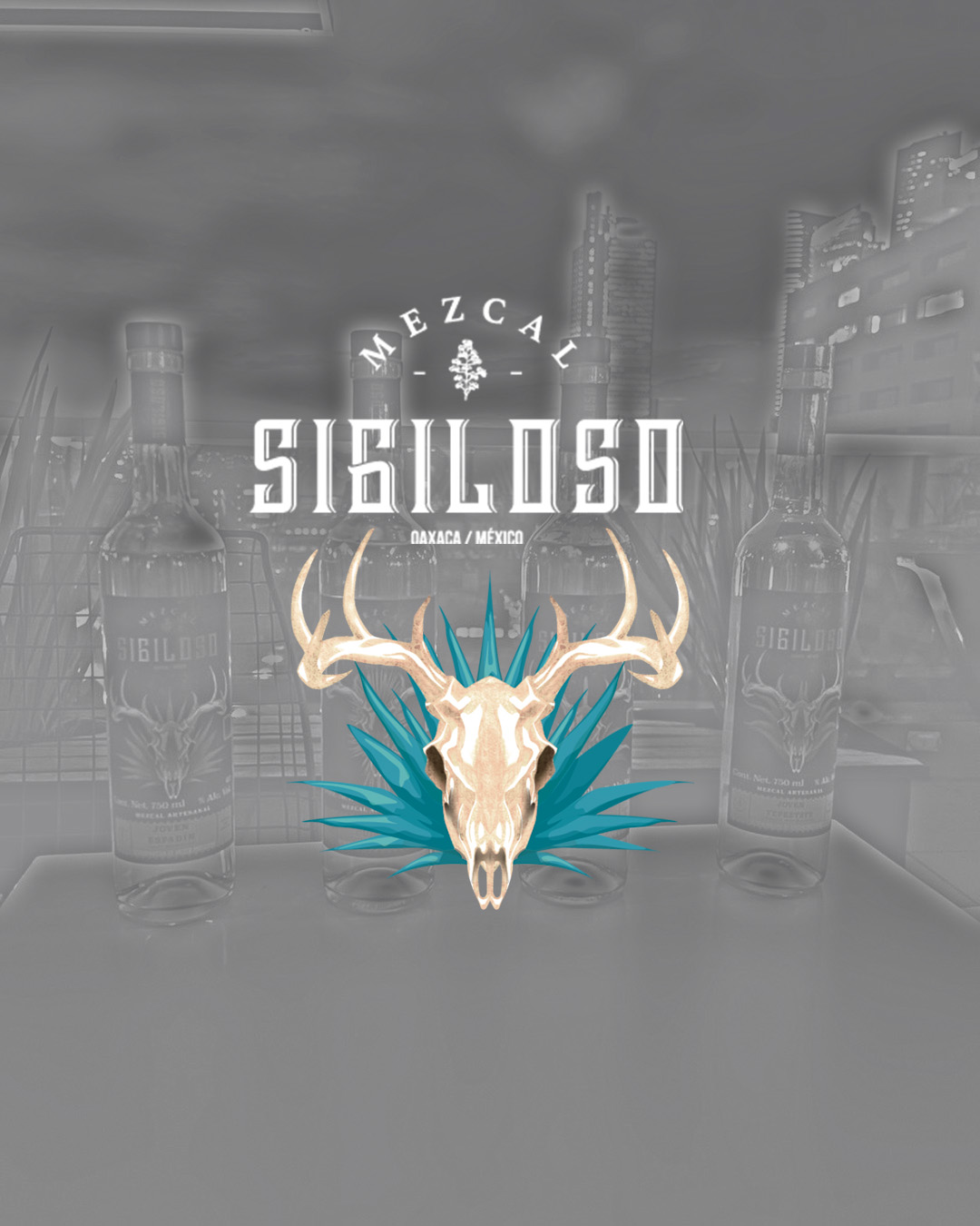 Inicio - Mezcal Sigiloso